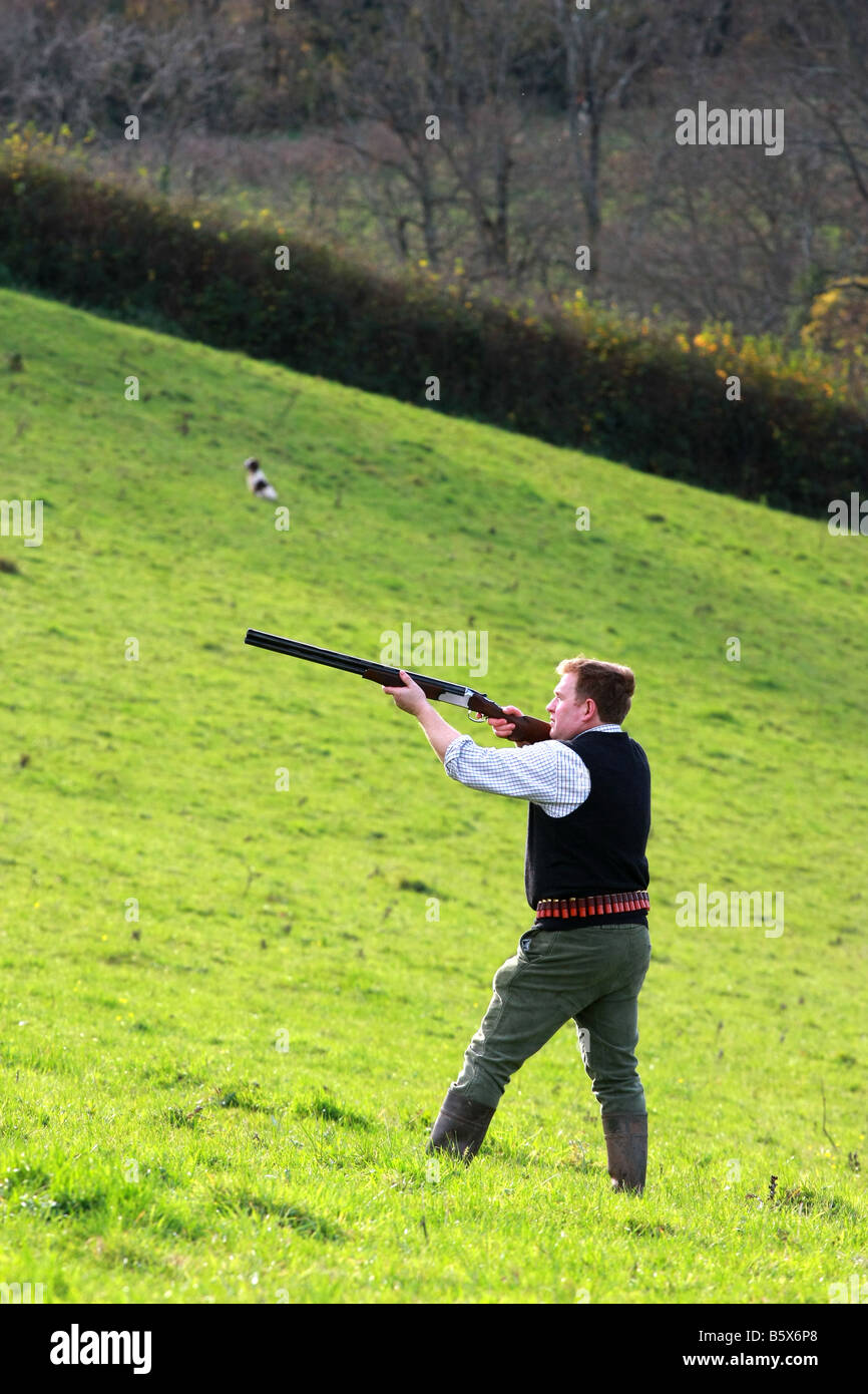 A pheasant hunter holding shooting shot gun during an organised driven ...