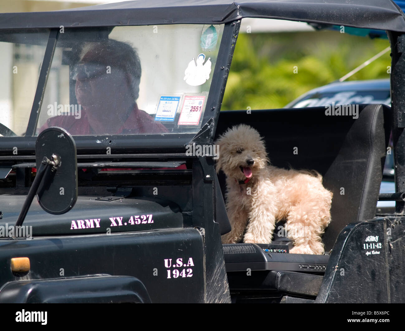 a man and his dog in Phuket Thailand Stock Photo - Alamy