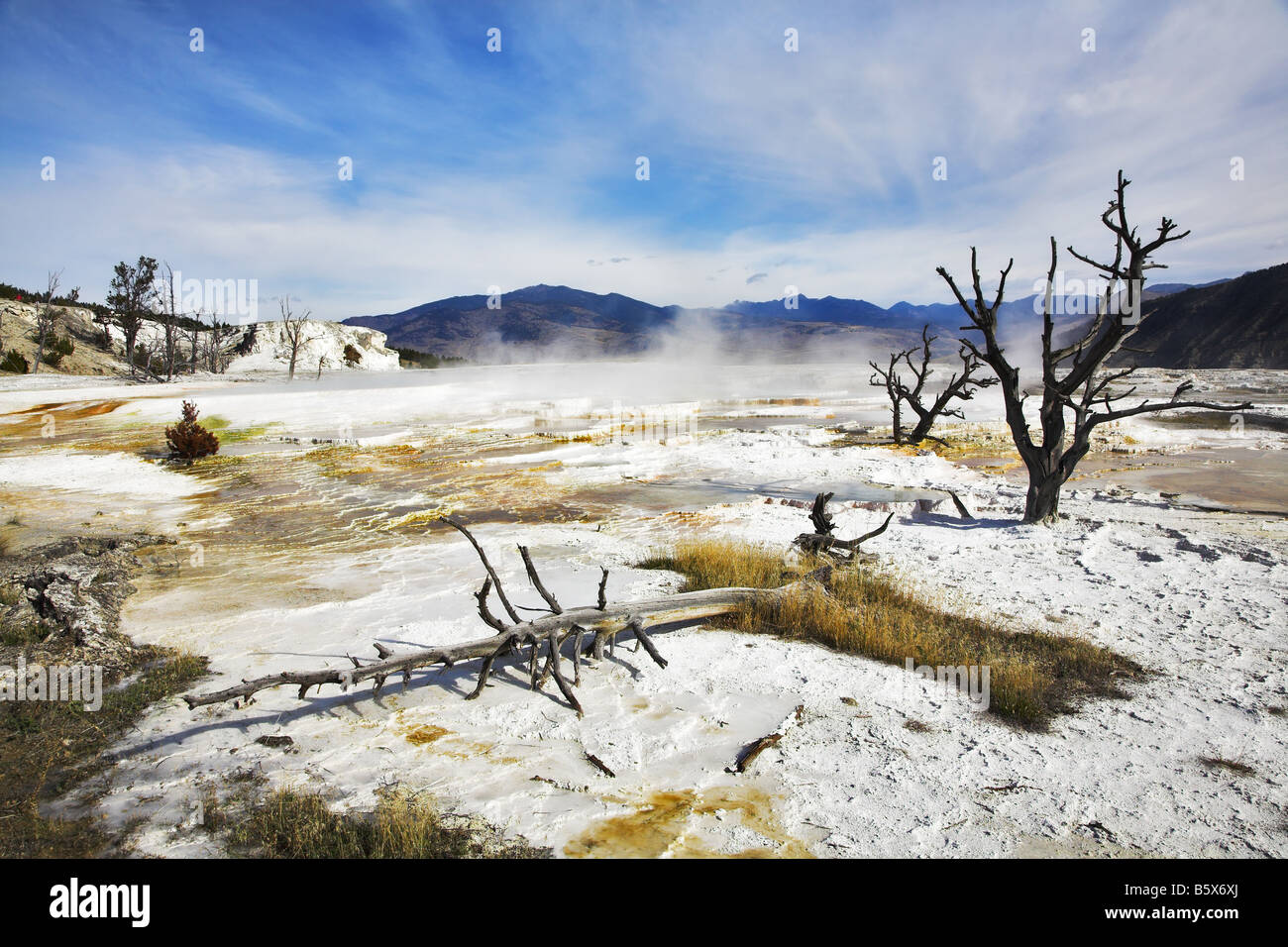 Smoking waters and fossilized black trunks of trees in Yellowstone ...