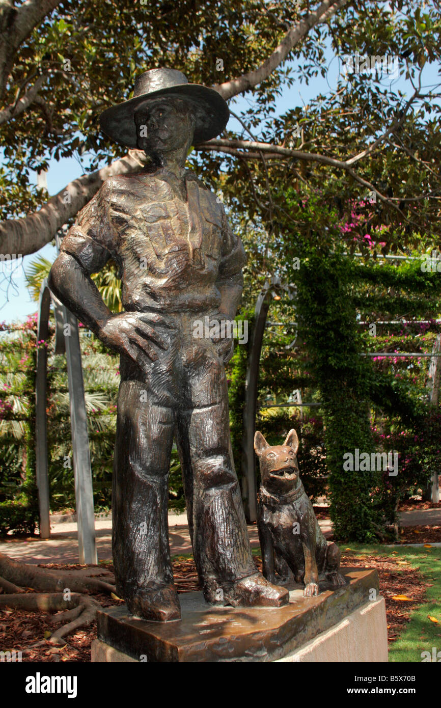 bronzed aussie and blue heeler Stock Photo - Alamy