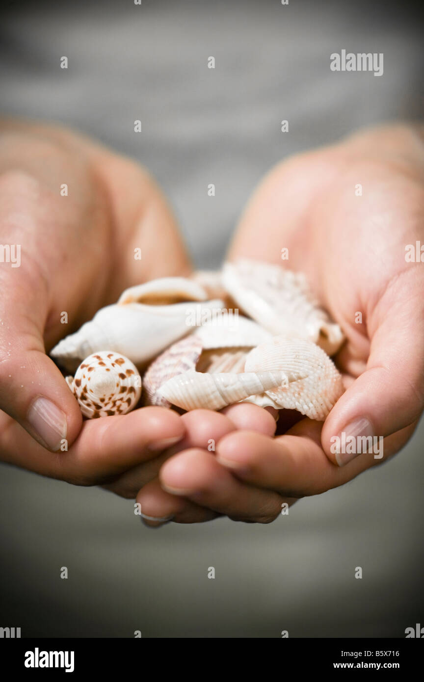 Shell in one hand hi-res stock photography and images - Alamy
