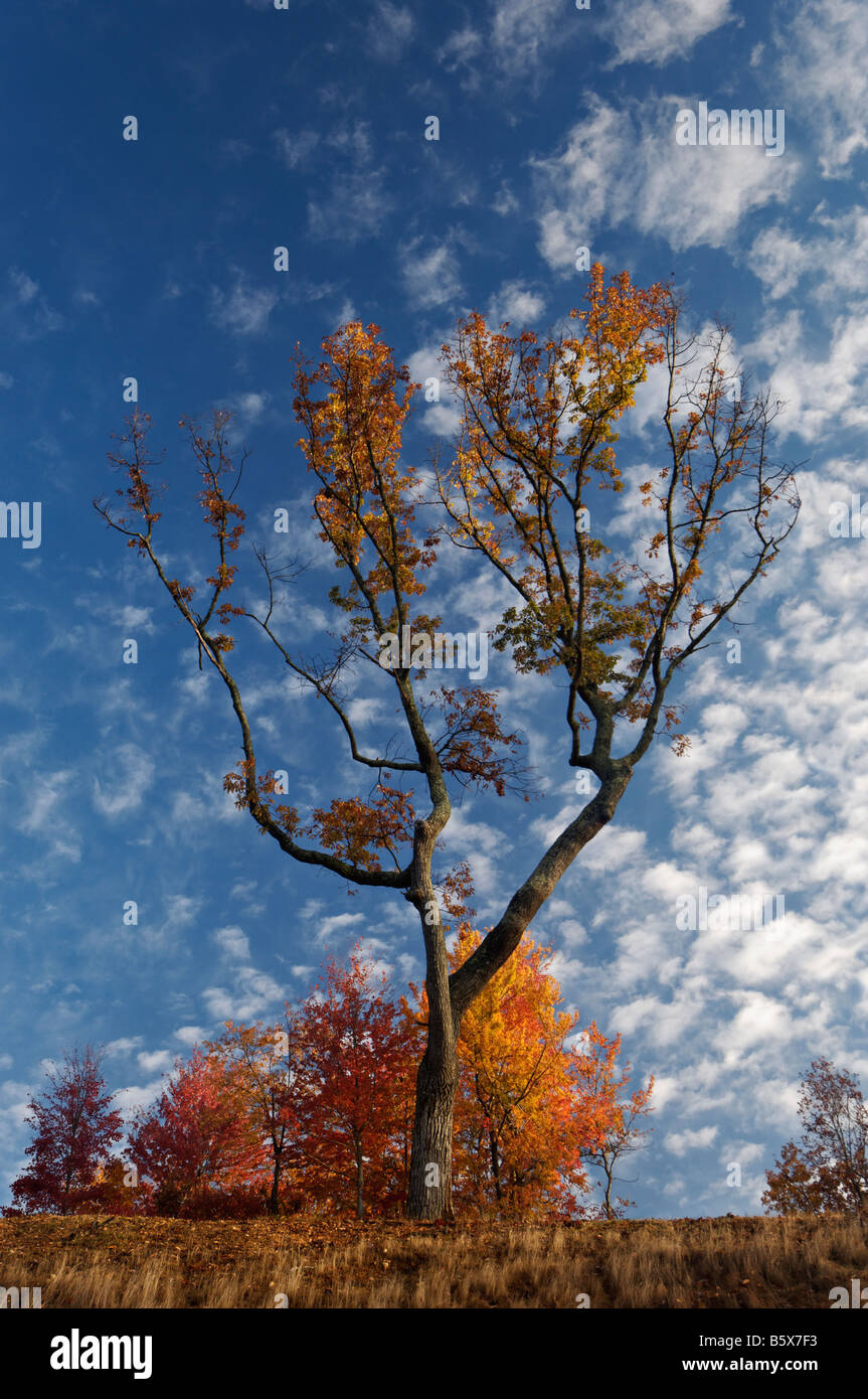 Rhea county hi-res stock photography and images - Alamy