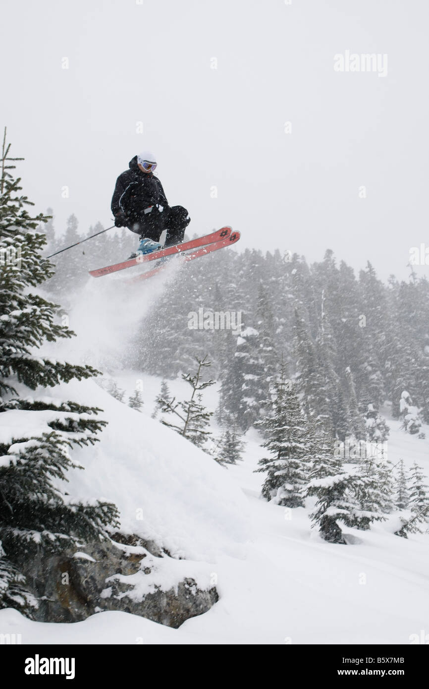 skiing backcountry powder in Whistler Stock Photo - Alamy