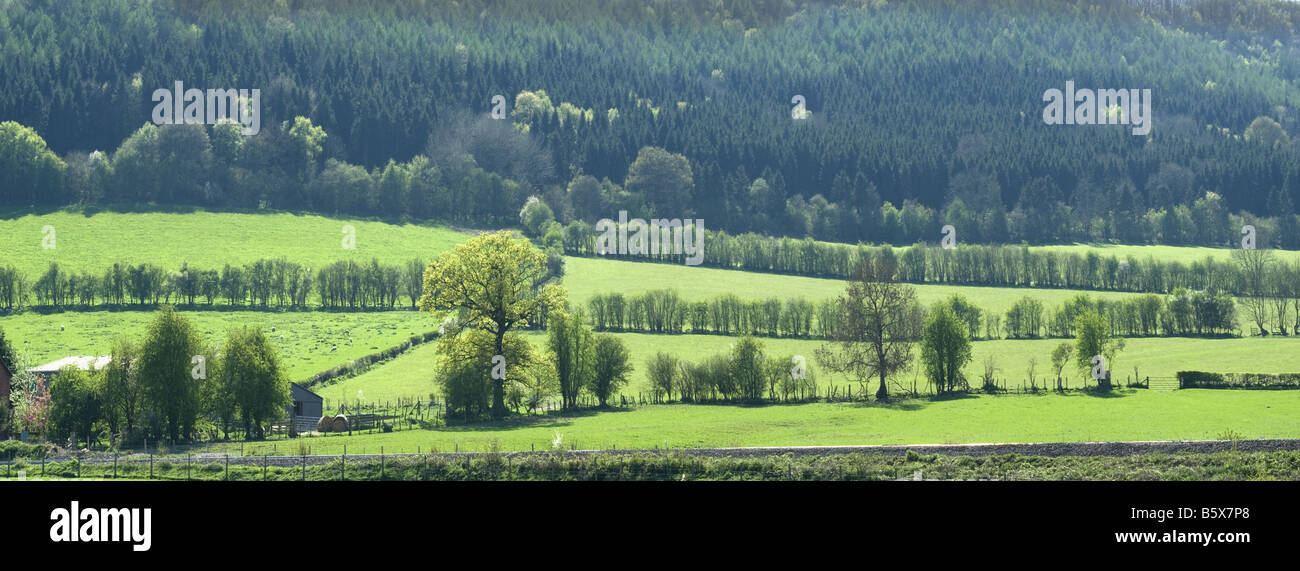 The grounds of a country estate Stock Photo - Alamy