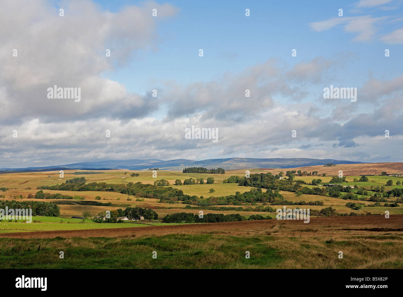 Cheviot hills northumberland uk hi-res stock photography and images - Alamy