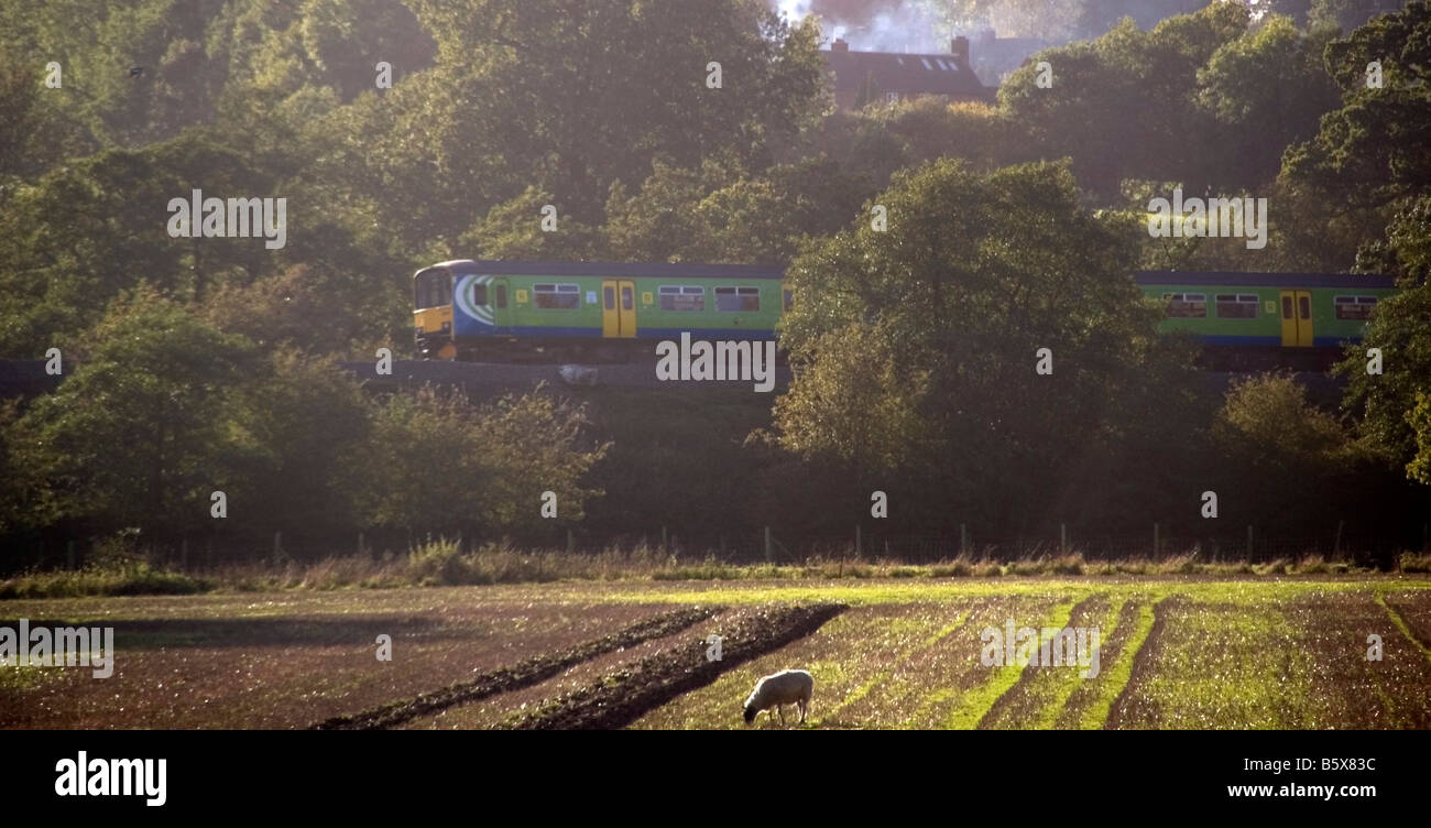 A train on a railway line in the countryside Stock Photo - Alamy