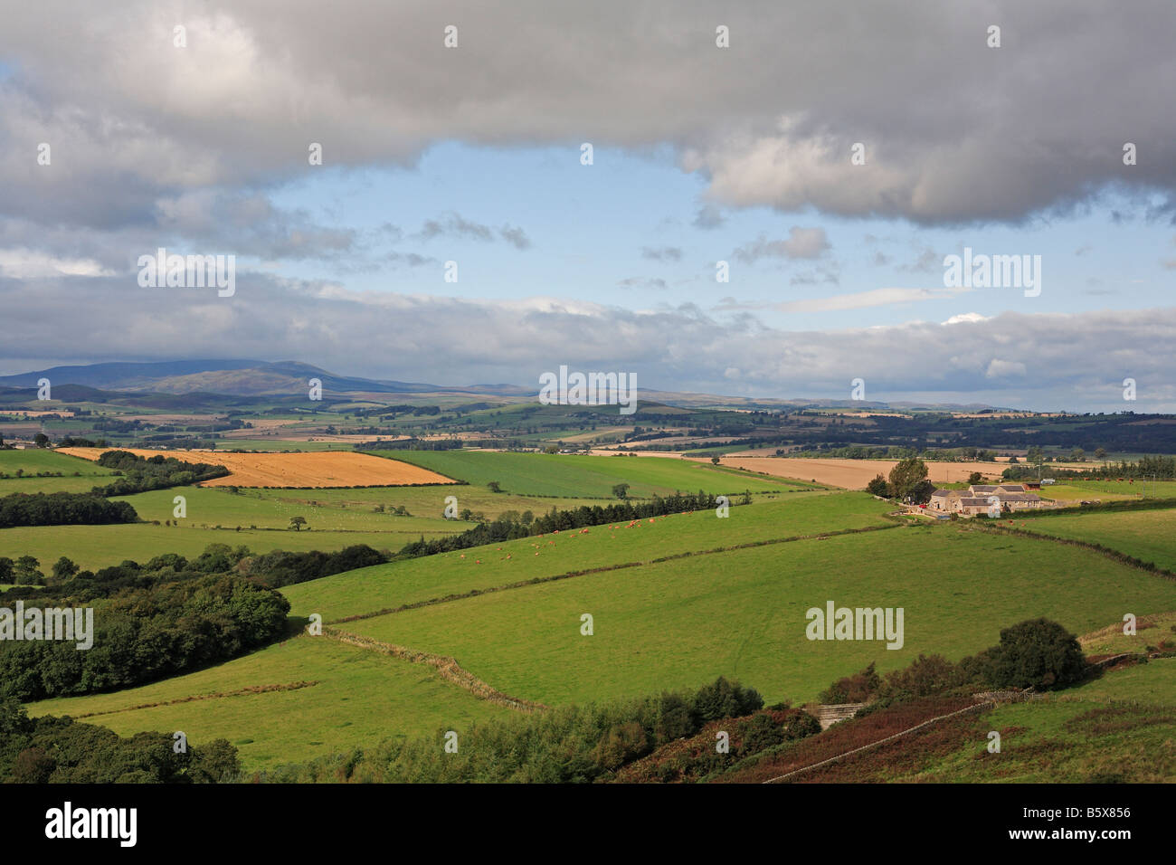 1272 Cheviot Hills Northumberland UK Stock Photo - Alamy