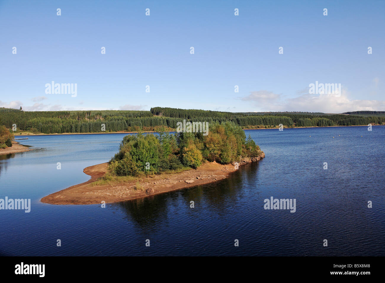 Kielder forest hi-res stock photography and images - Alamy