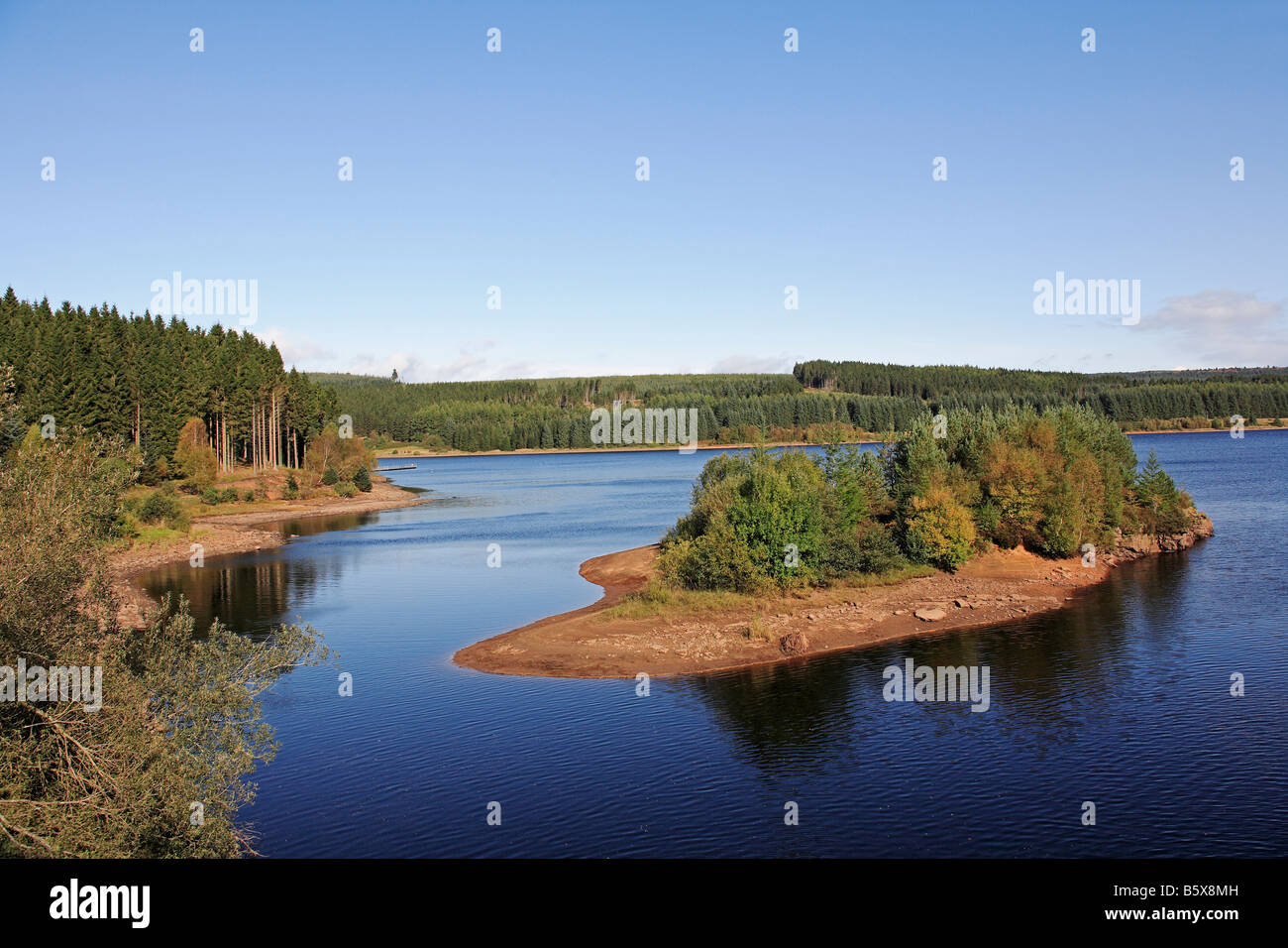 1290 Kielder Water Kielder Forest Northumberland UK Stock Photo - Alamy