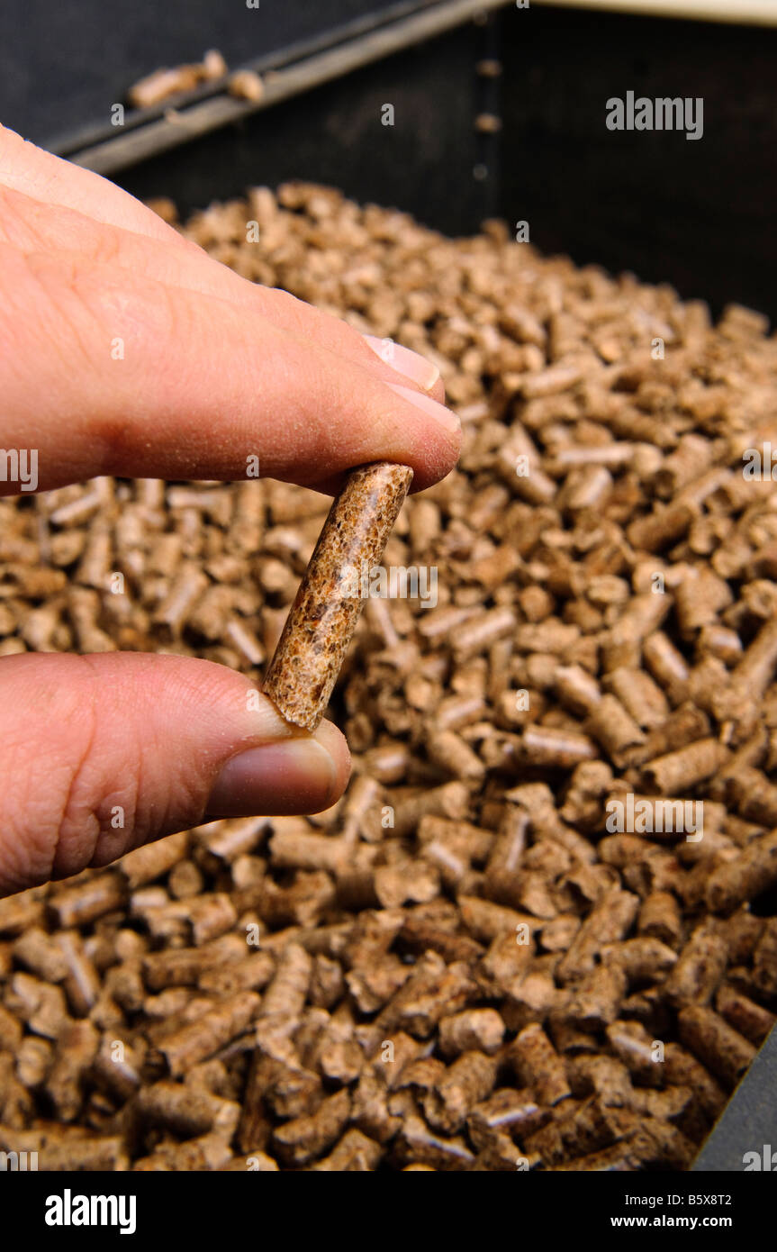 Wood pellets, fuel made from recycled wood an alternative heating ...