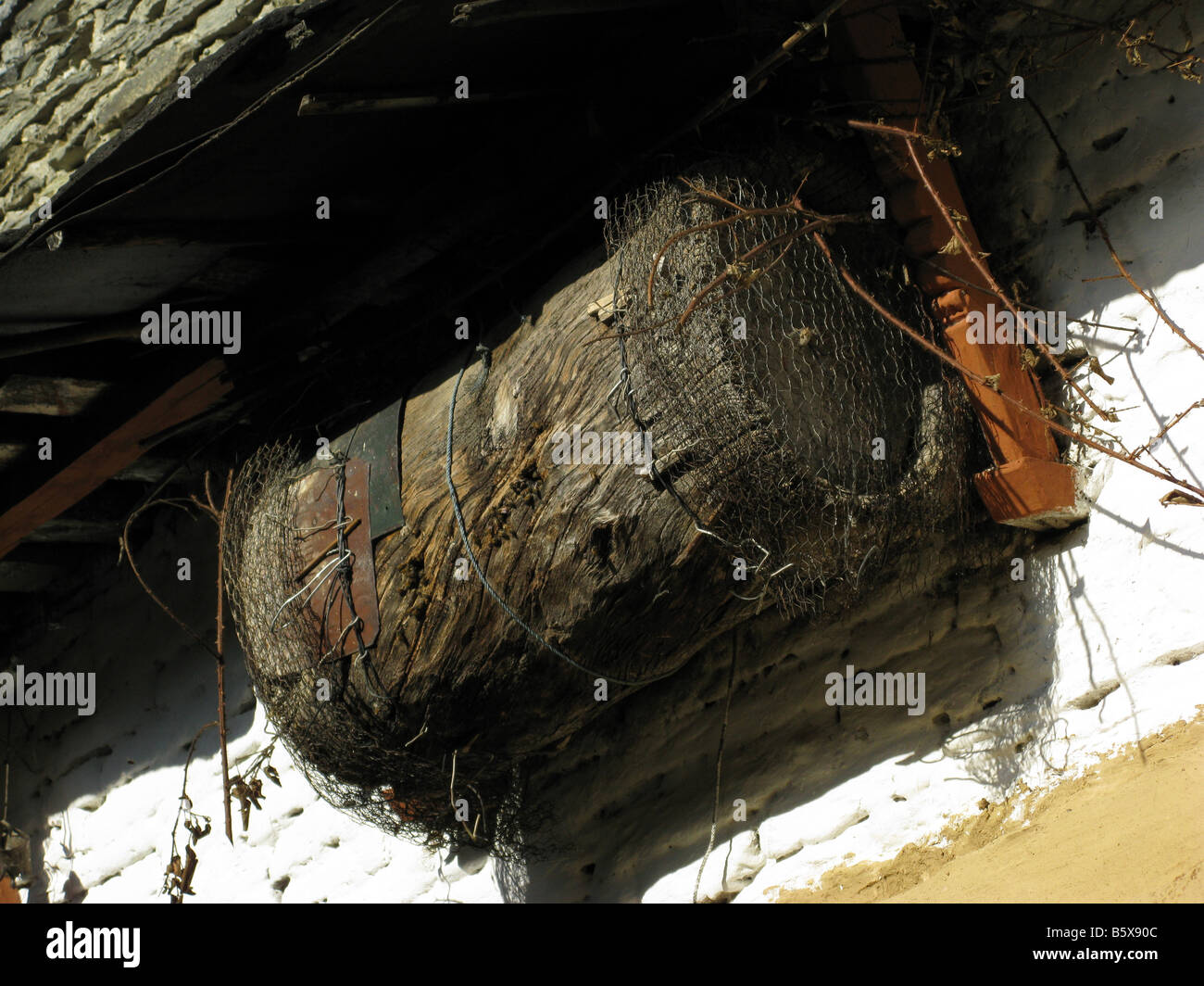 A hollow log, only loosely sealed at each end, creates a type of bee ...
