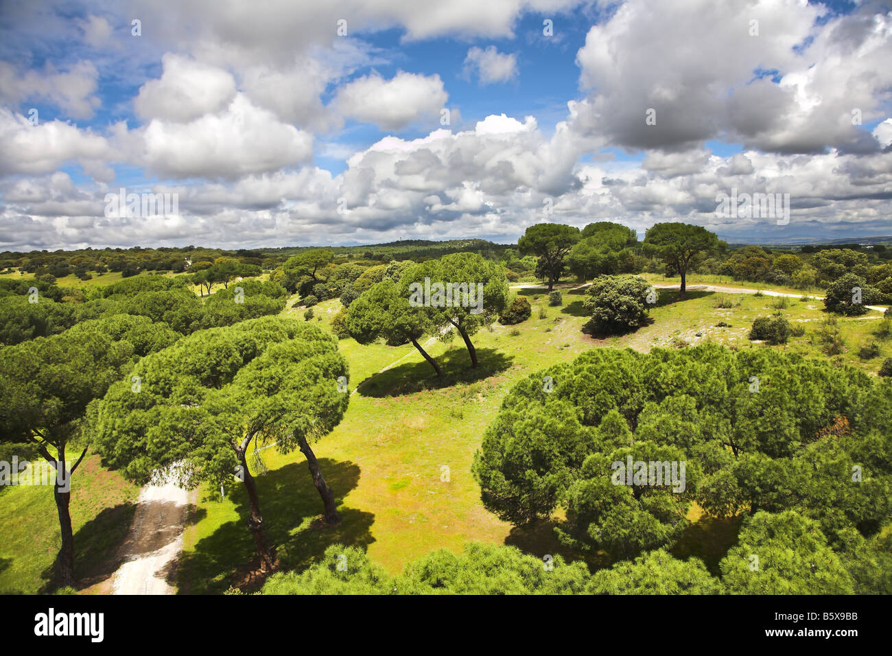 Huge suburban park of Madrid and flying spring the clouds photographed ...