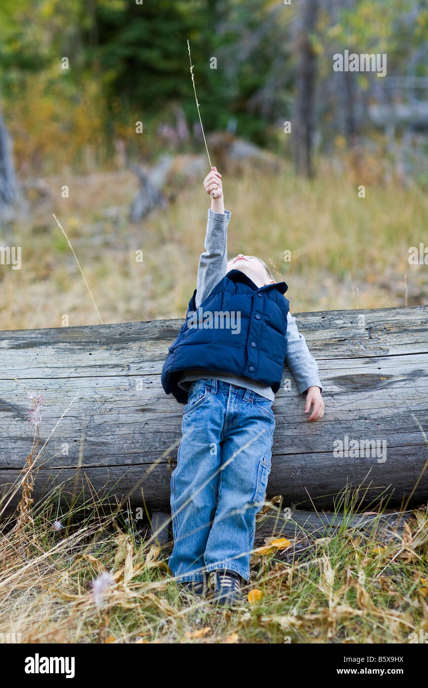 Boy leaning against tree trunk hi-res stock photography and images - Alamy