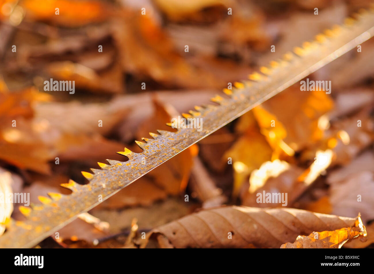 Sawtooth blade hi-res stock photography and images - Alamy