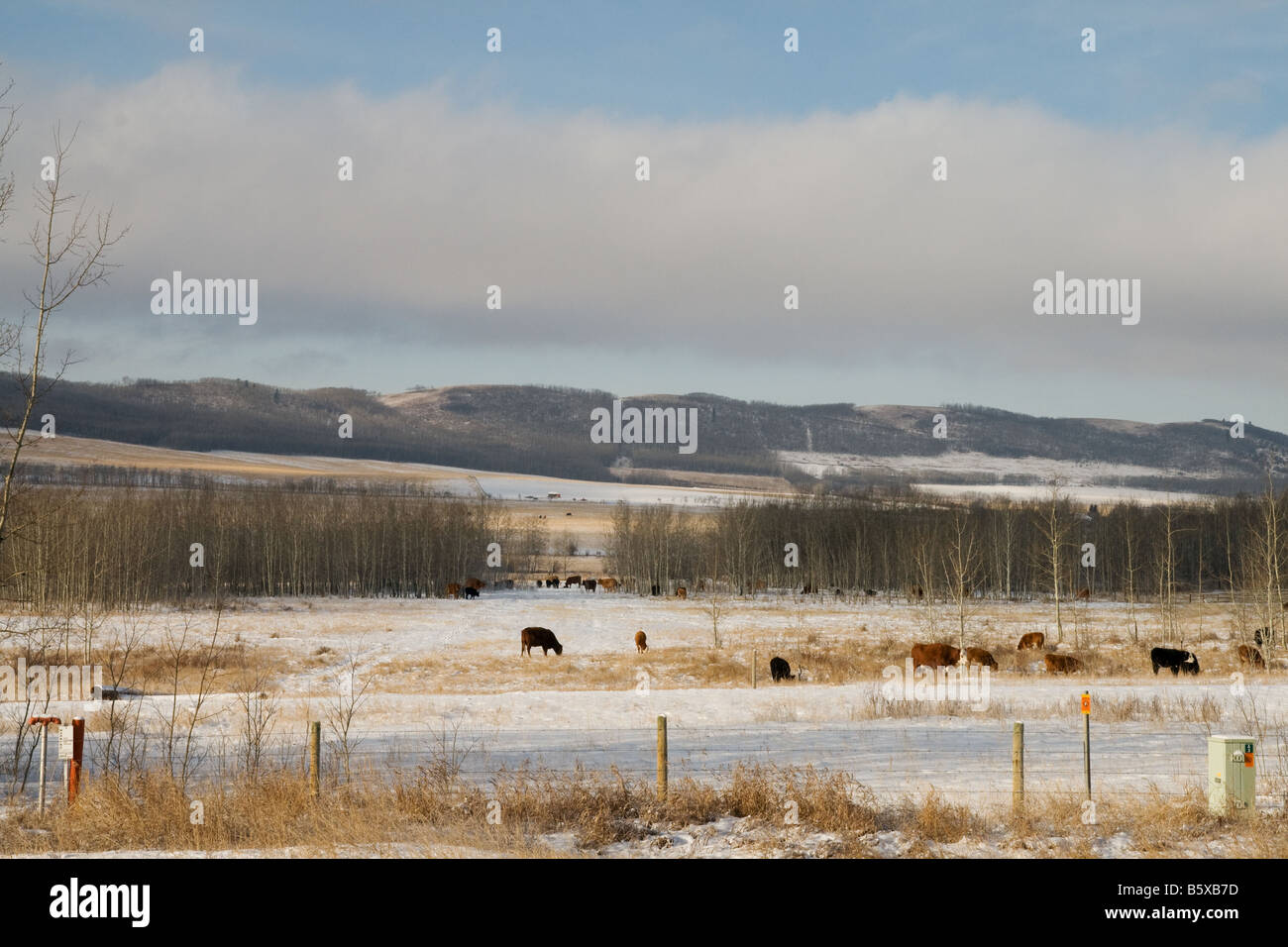 Alberta prairie winter hi-res stock photography and images - Alamy