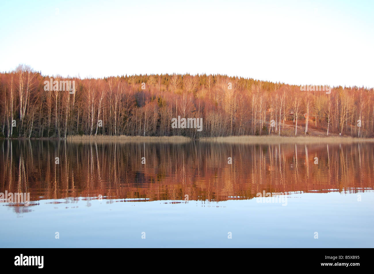 Fall autumn wintery hi-res stock photography and images - Alamy
