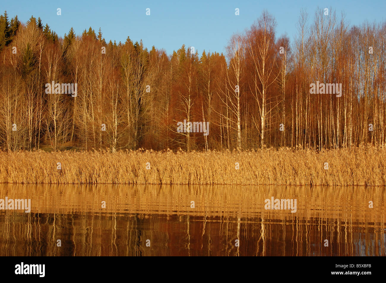 Swedish lake hi-res stock photography and images - Alamy