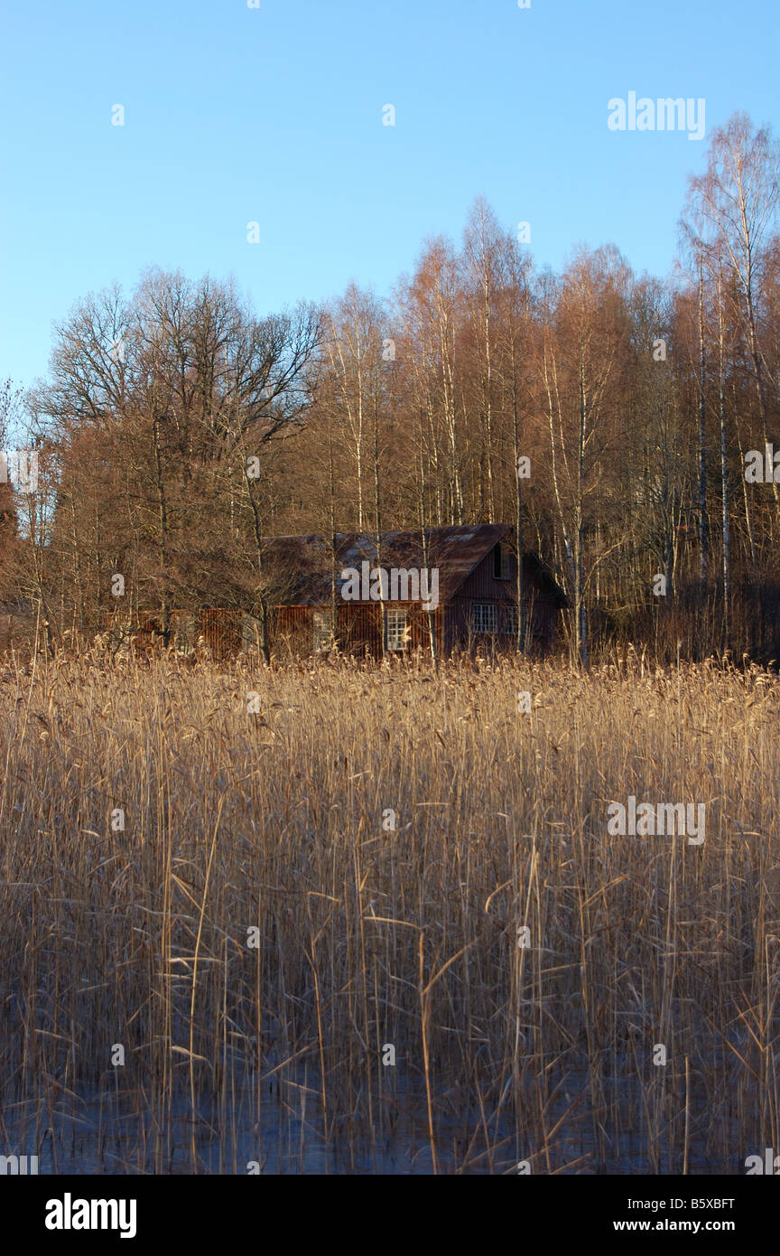 Swedish barn near lake Stock Photo - Alamy