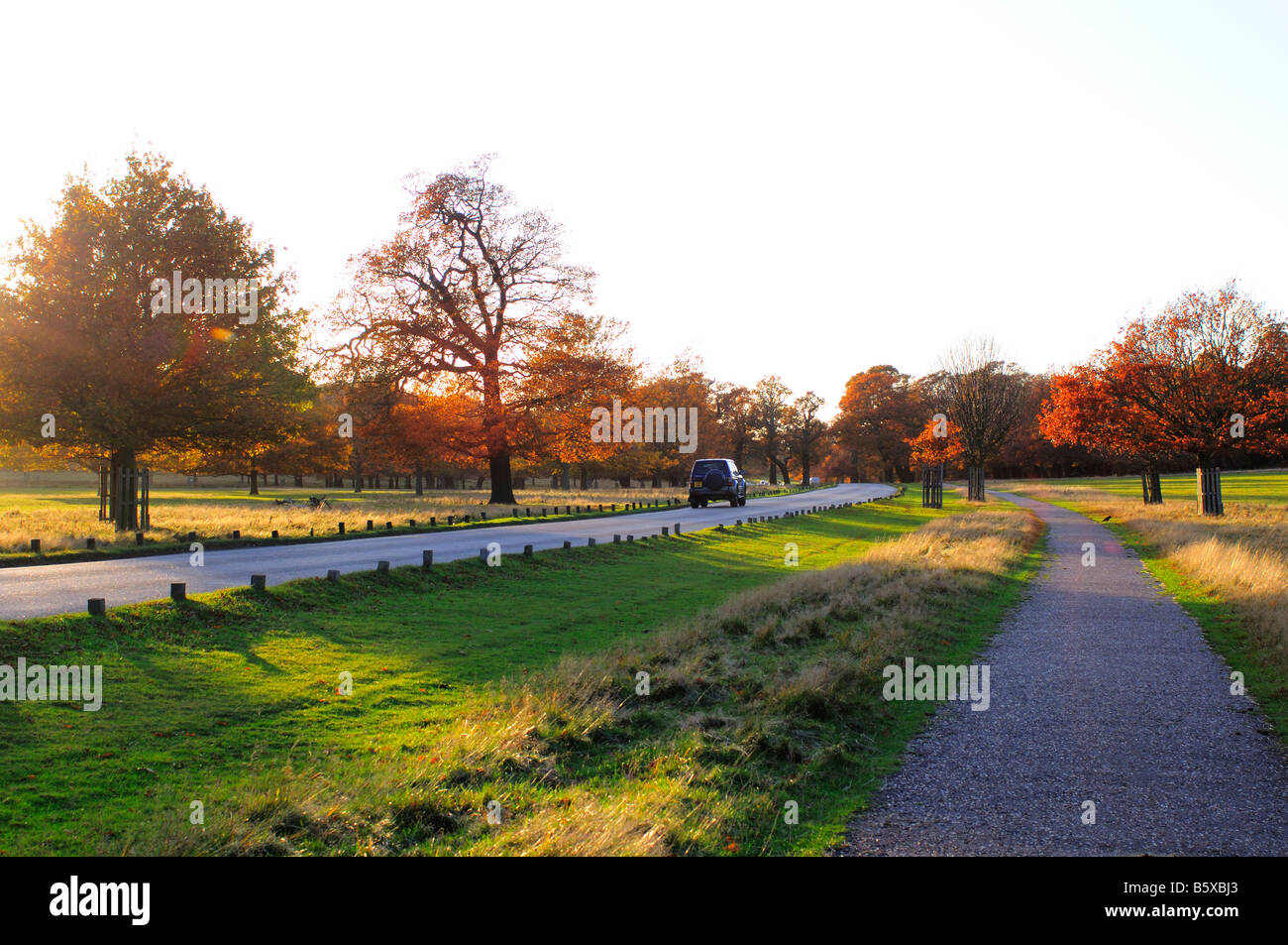Richmond Park Richmond Upon Thames Surrey UK Stock Photo - Alamy