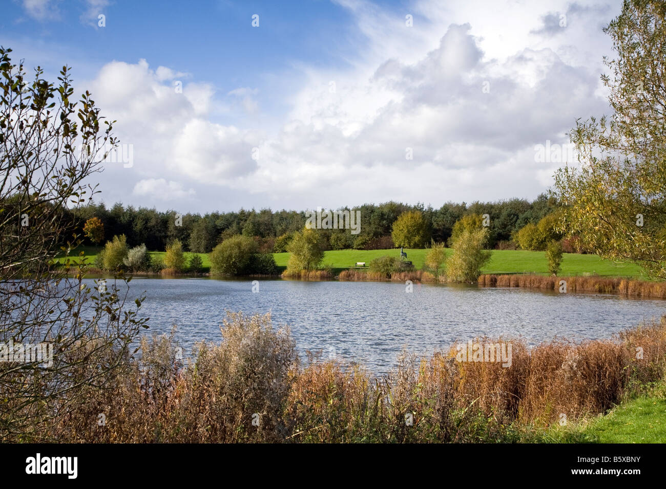 JCB Landscaped grounds with lake Stock Photo - Alamy