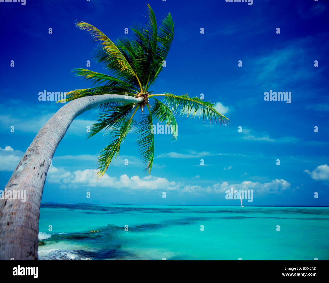 Ari Beach Maldives Stock Photo - Alamy
