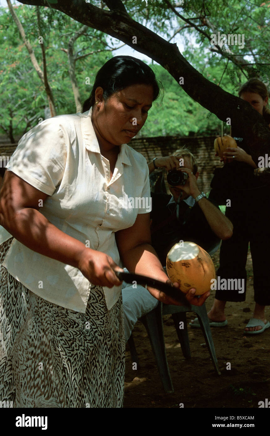 Opening coconut Sri Lanka Asia Stock Photo - Alamy