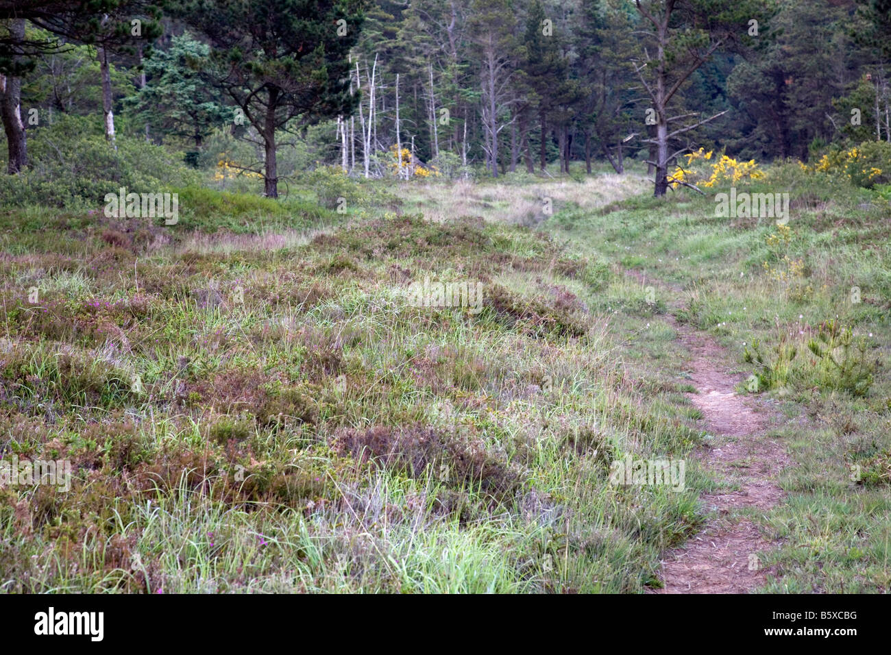 Goonhilly hi-res stock photography and images - Alamy
