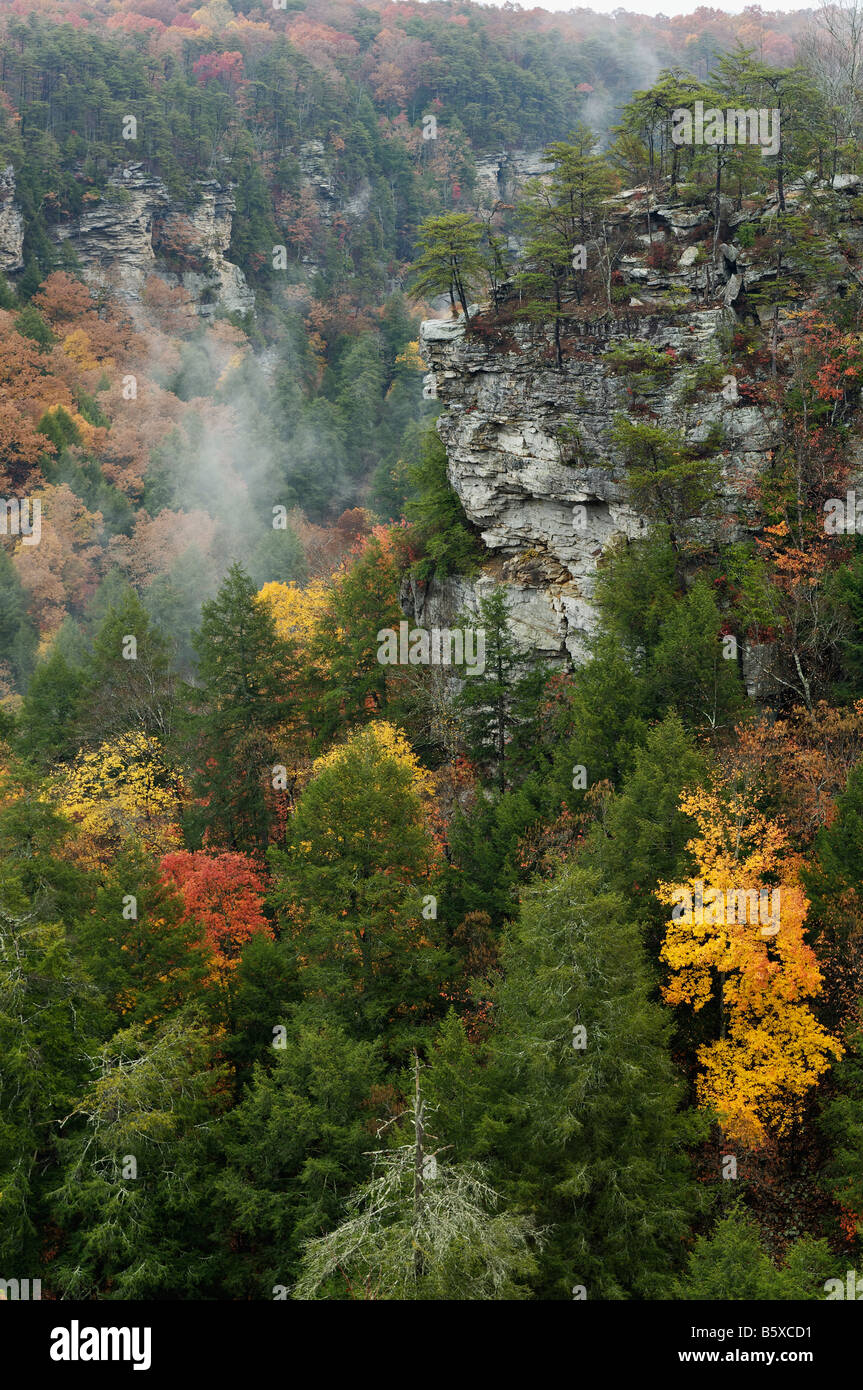 Mist and cliffs hi-res stock photography and images - Alamy