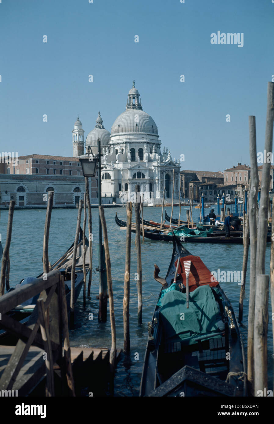 Salute Venice Stock Photo - Alamy