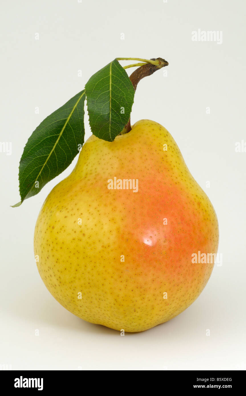 Williams christ hi-res stock photography and images - Alamy