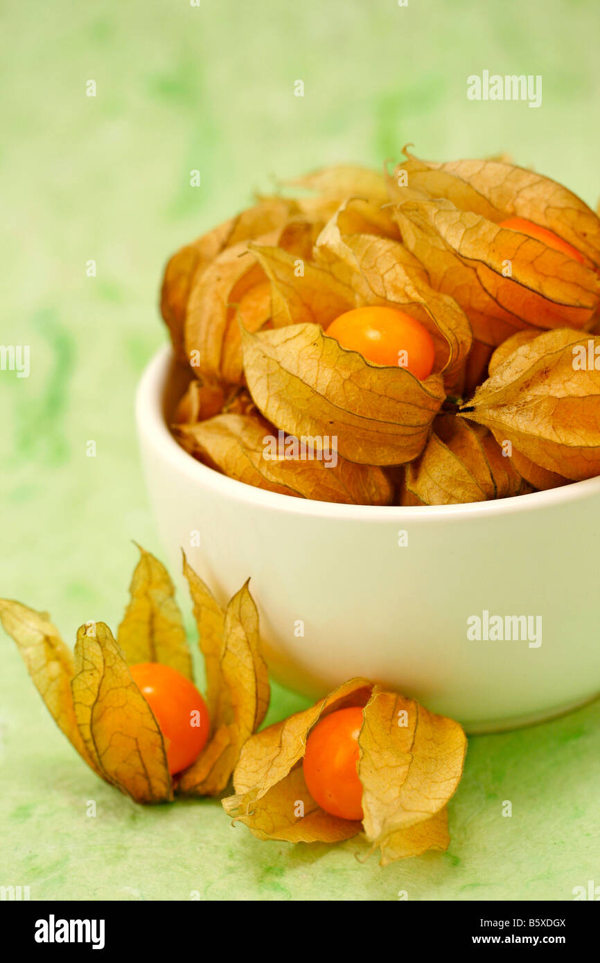 Physalis alkekengi Bladder cherries Stock Photo - Alamy