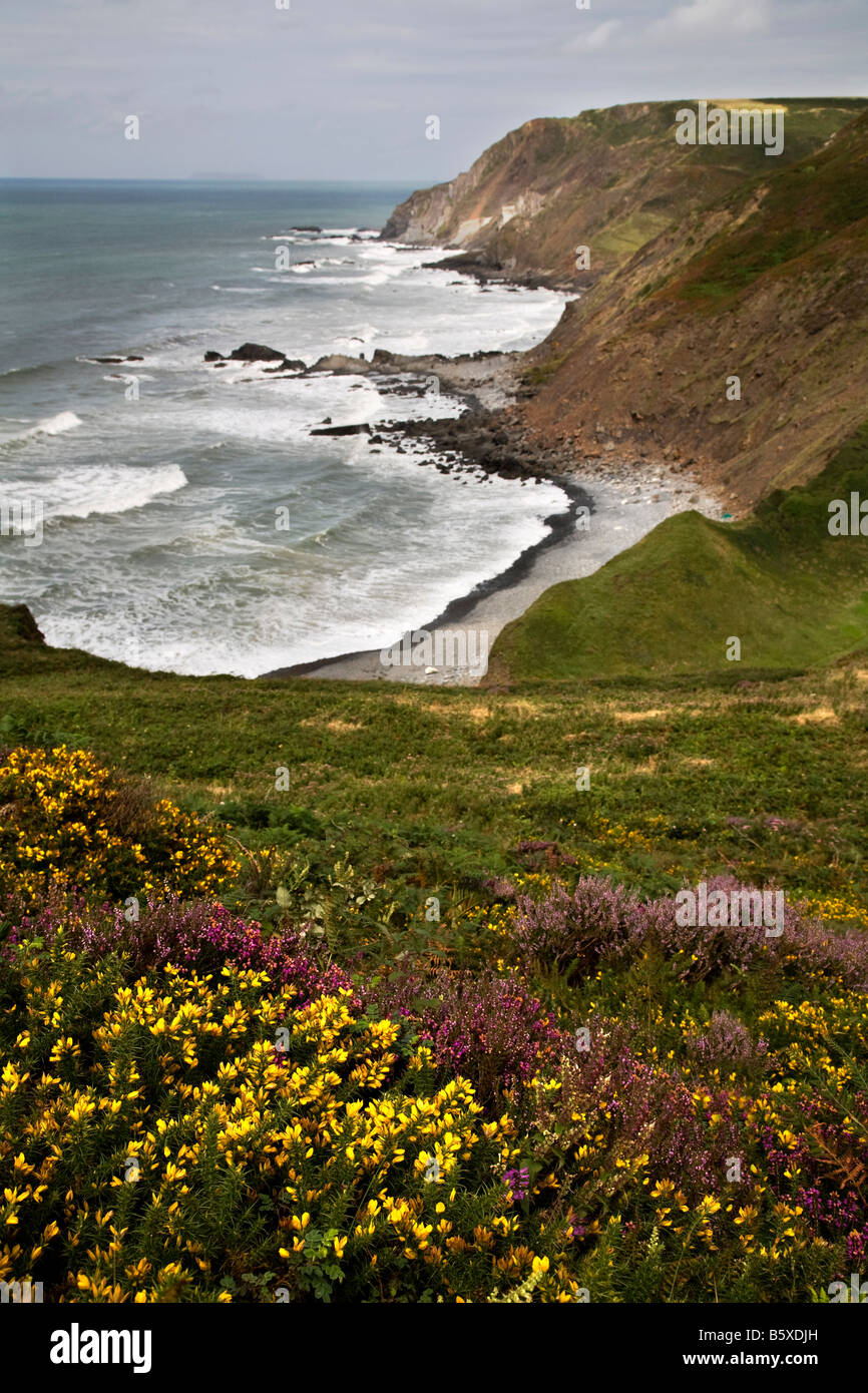 Marsland High Resolution Stock Photography and Images - Alamy