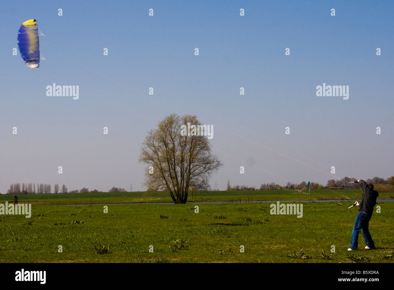 Flying a kite tree hi-res stock photography and images - Alamy