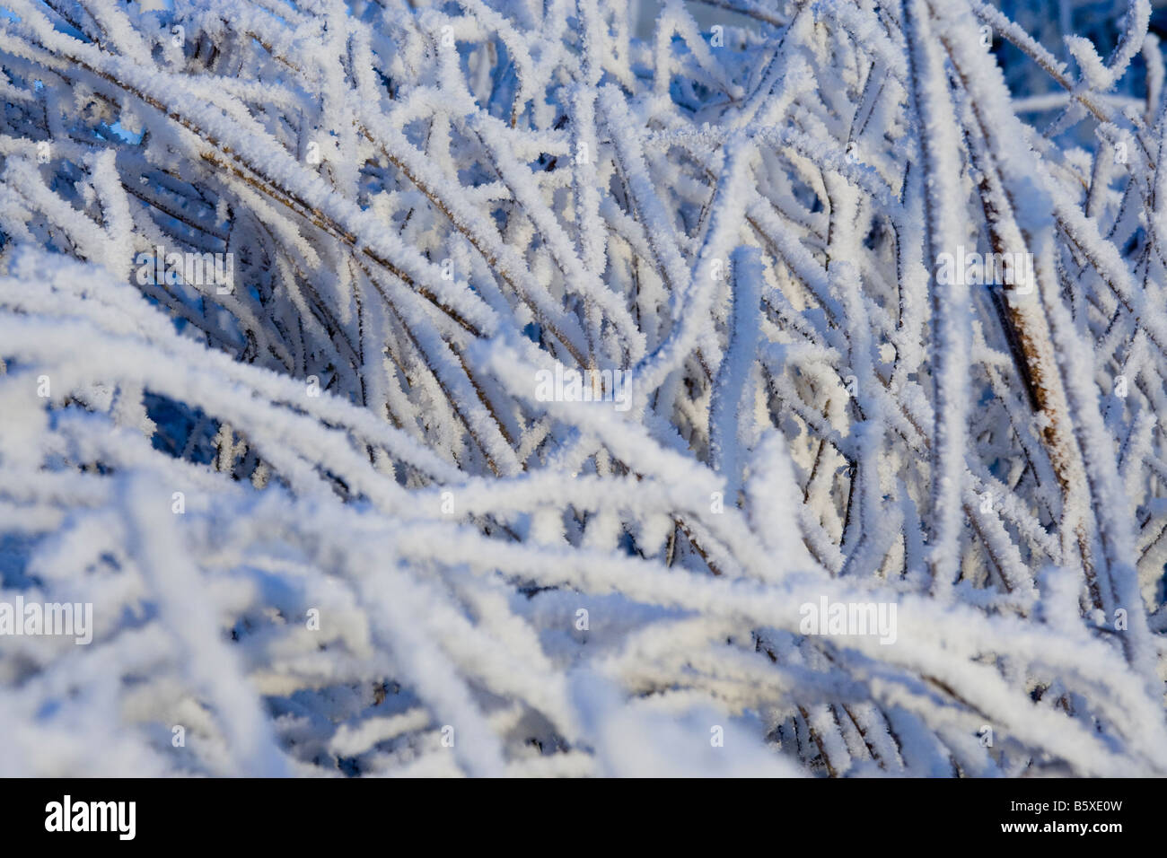 A blizzard of snowstorms hi-res stock photography and images - Alamy