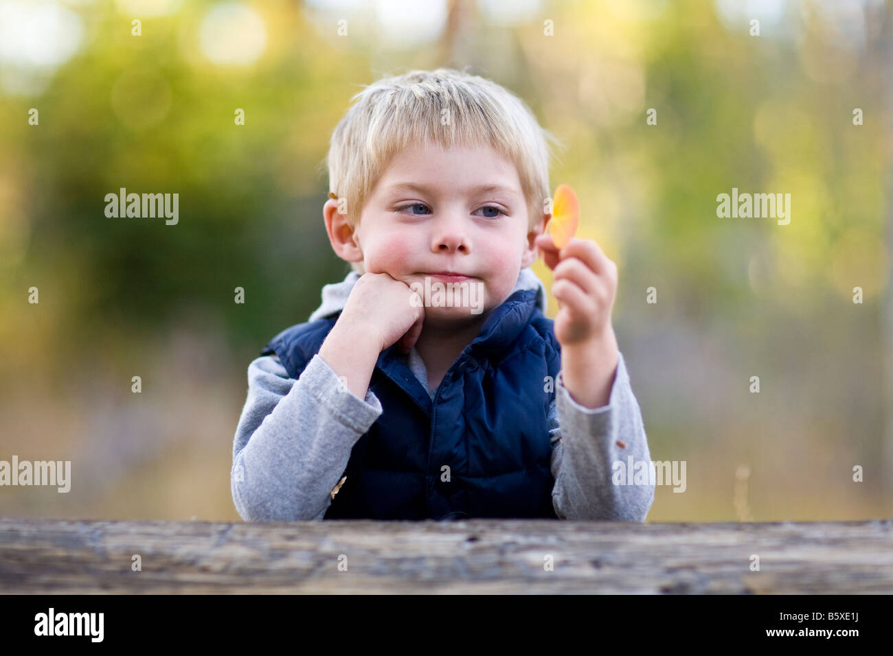 little boy leaning on fallen tree trunk, skeptically looking at yellow ...