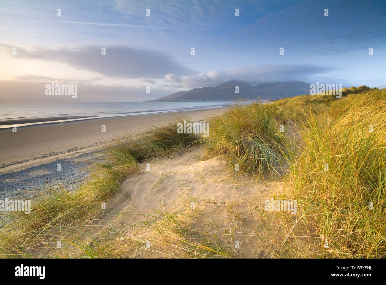 Irish Landscape image of dunes, beach and coast at Murlough Beach ...