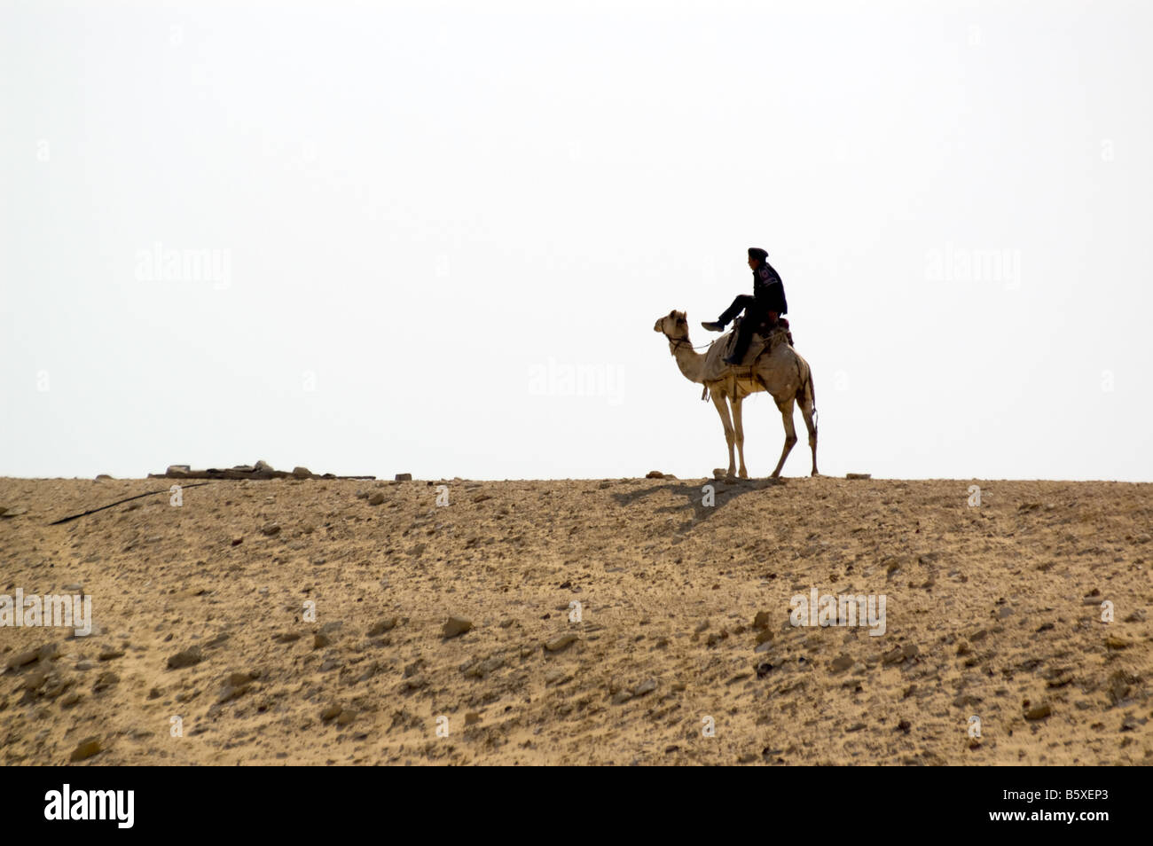 Man riding camel hi-res stock photography and images - Alamy