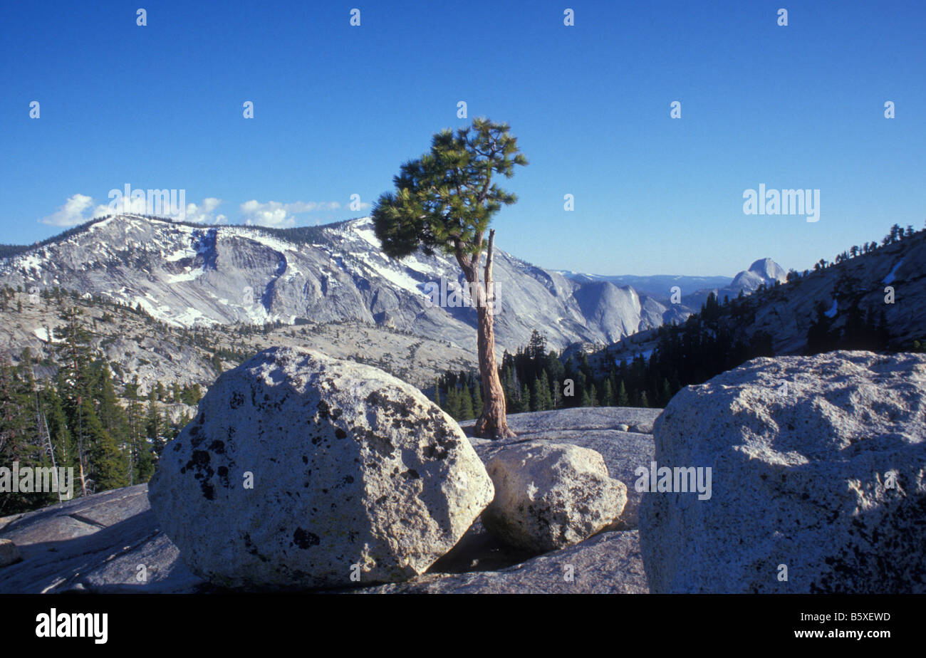 Olmsted Point at Yosemite National Park California USA Stock Photo - Alamy