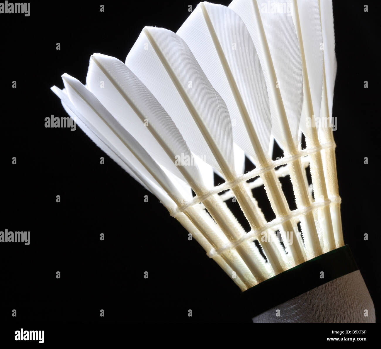 Badminton court with shuttlecock hi-res stock photography and images ...