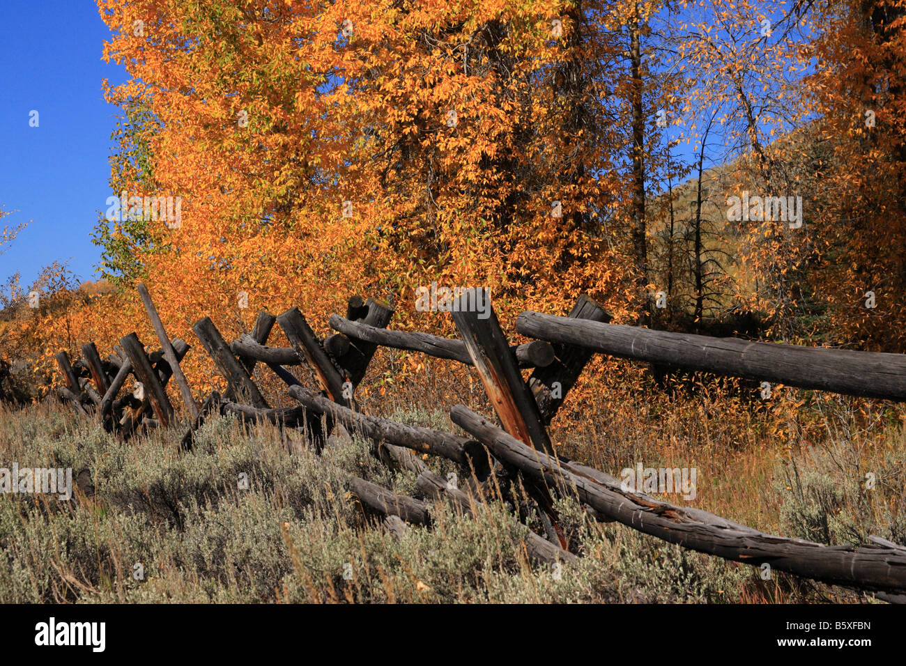 Rustic fall landscapes hi-res stock photography and images - Alamy