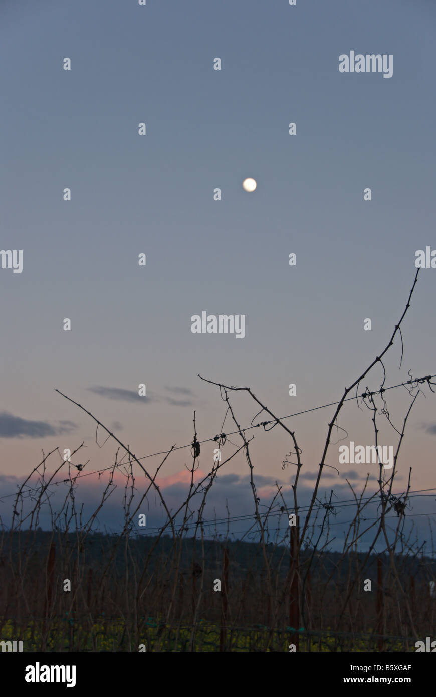 Moon winery hi-res stock photography and images - Alamy