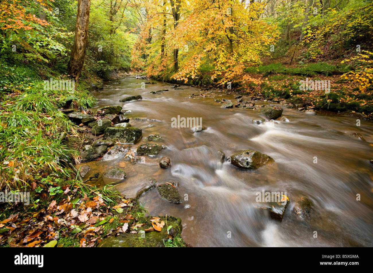 Littlebeck hi-res stock photography and images - Alamy