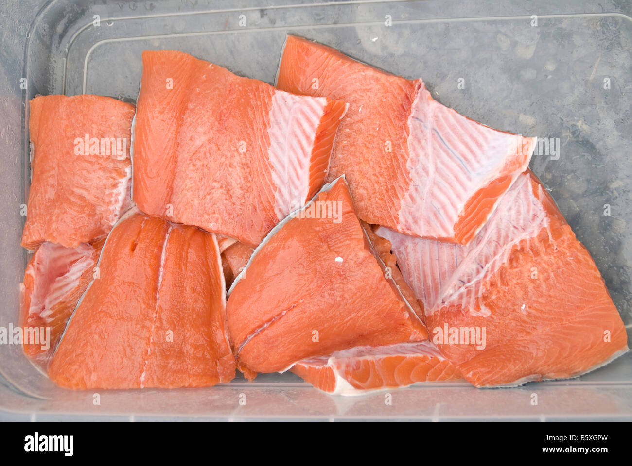 Silver catch hi-res stock photography and images - Alamy