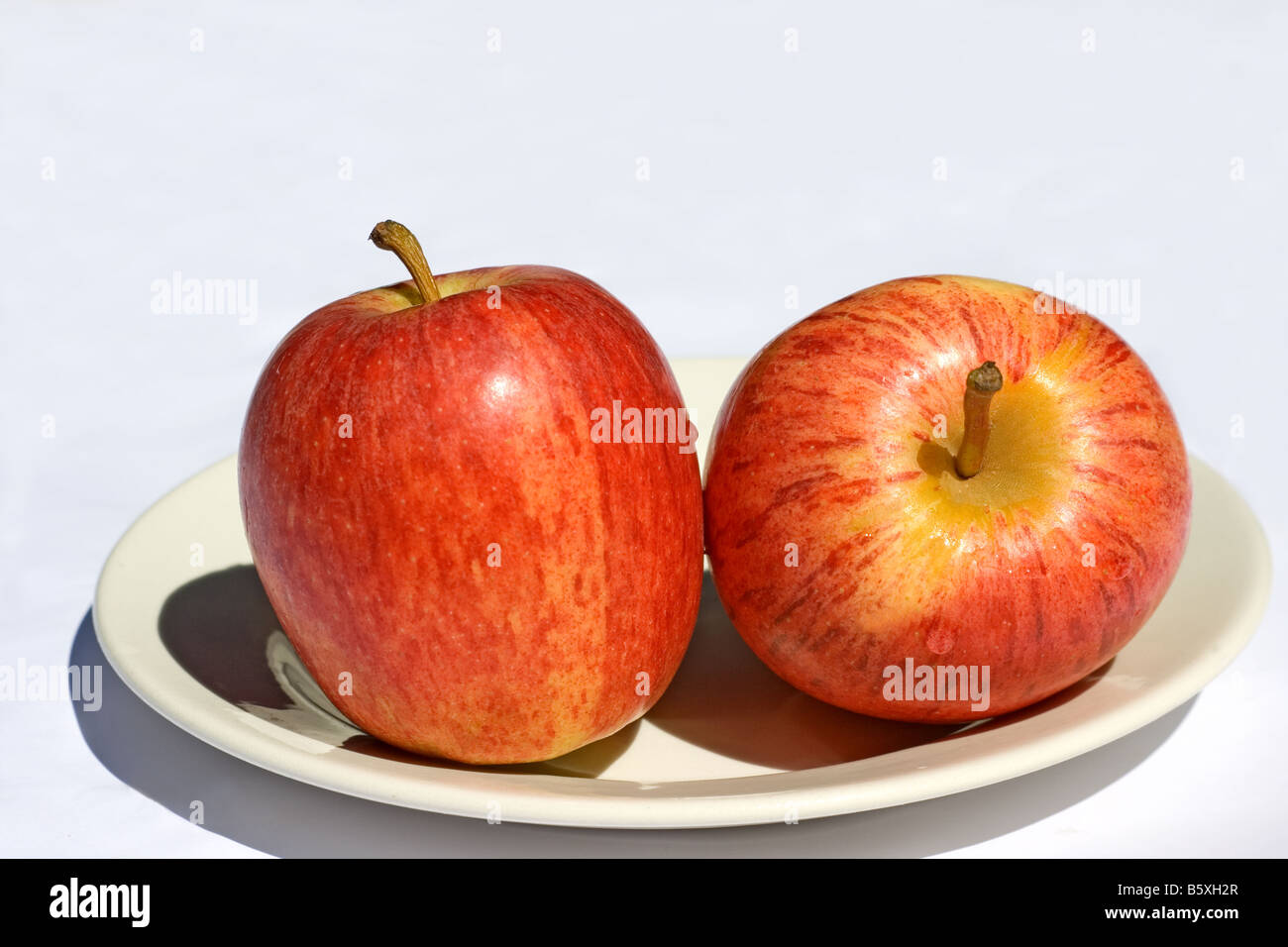 Two red apples on white background Stock Photo - Alamy