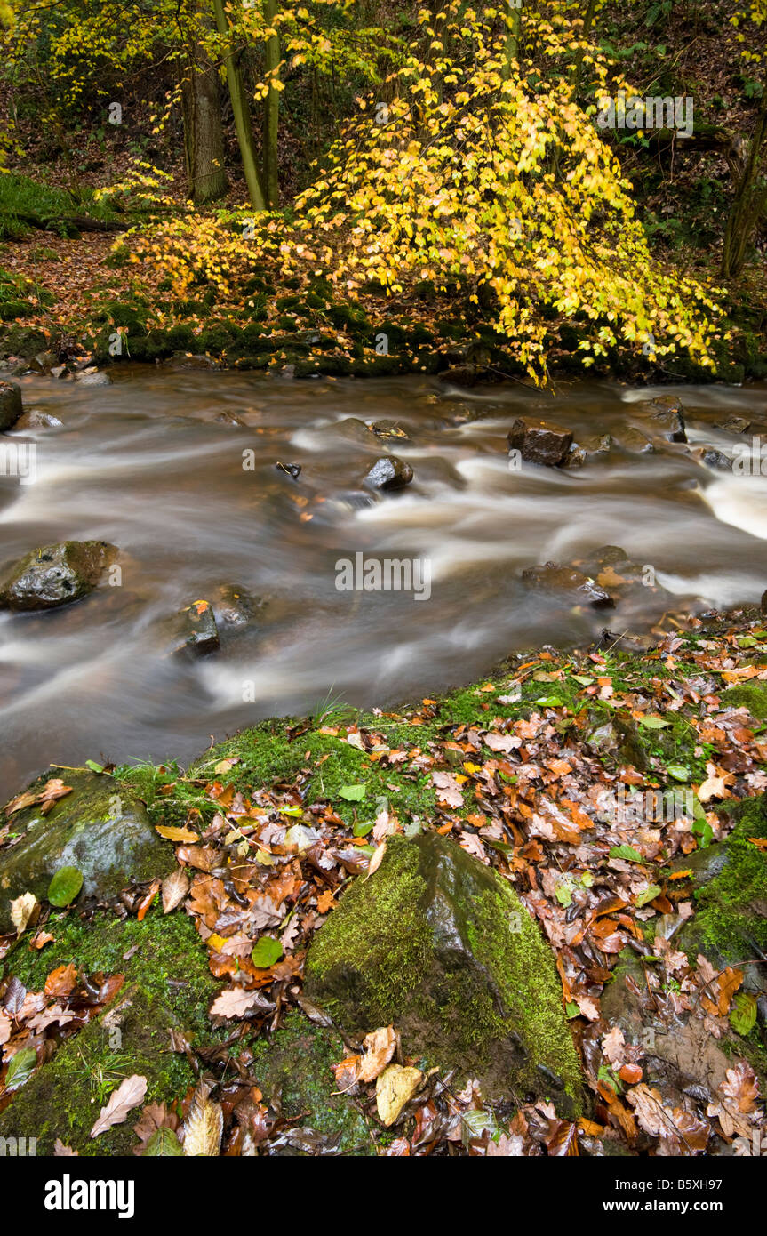 Littlebeck in North York Moors, UK Stock Photo - Alamy