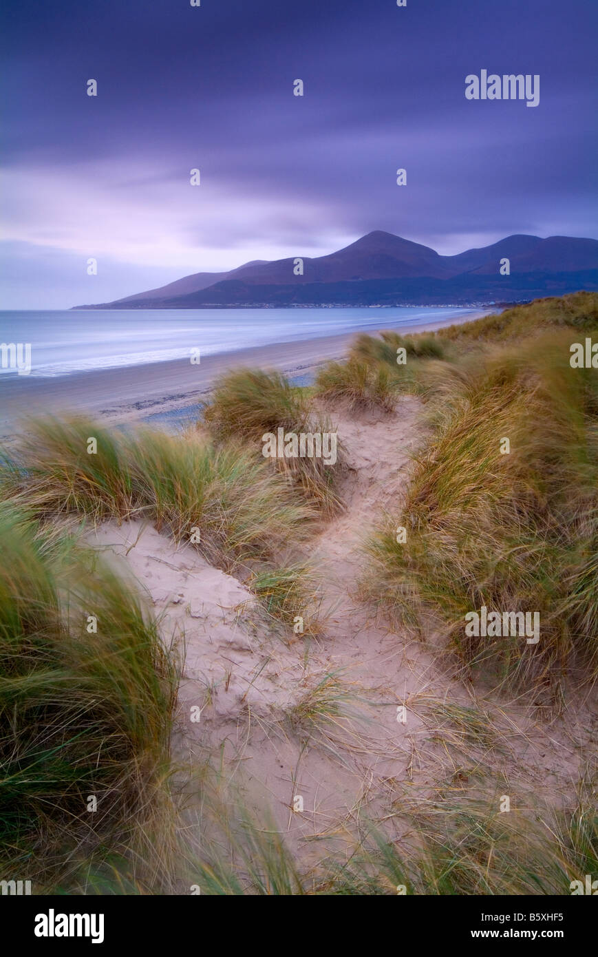 Irish Landscape image of dunes, beach and coast at Murlough Beach ...