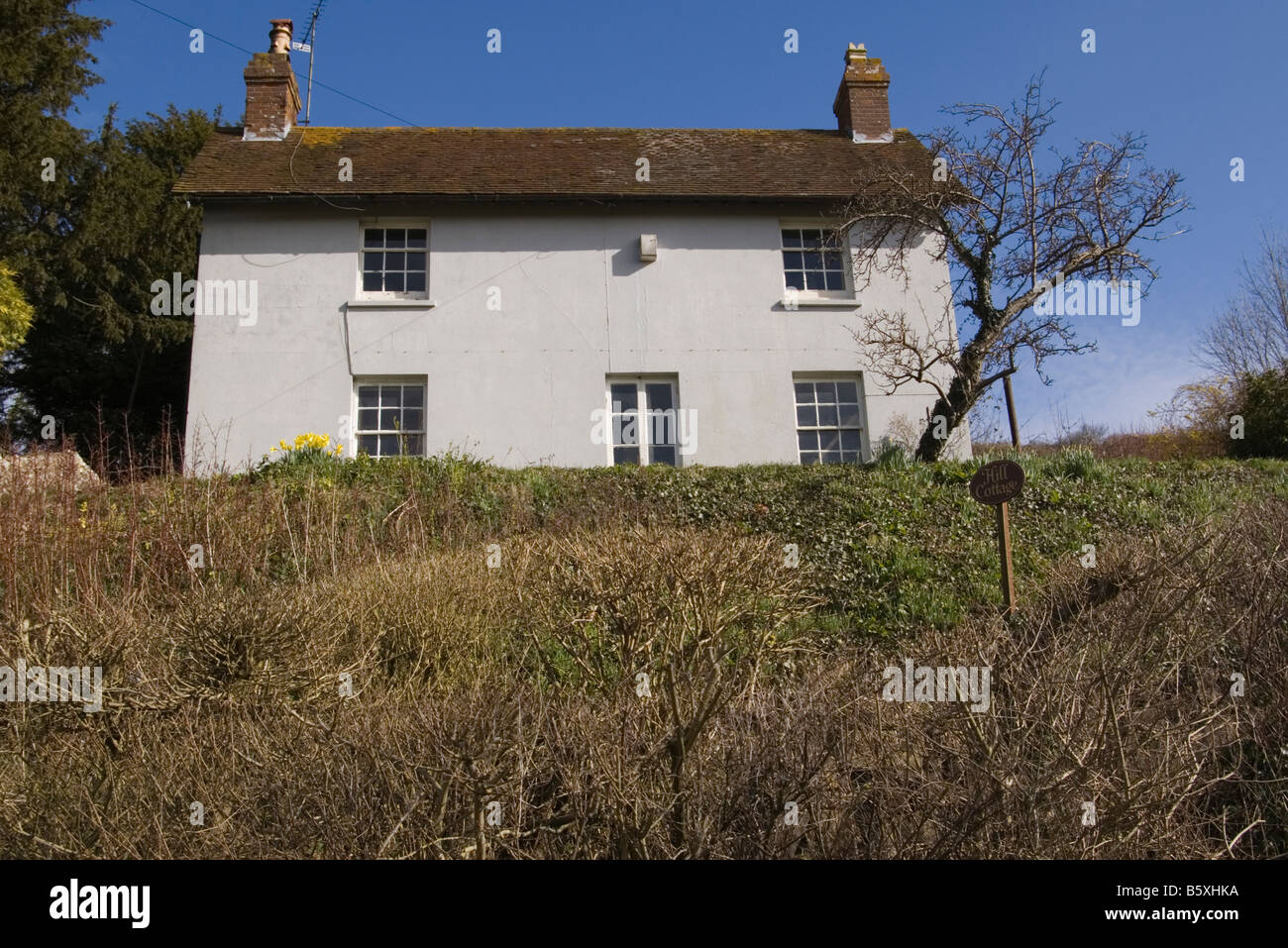 detached Country Cottage house in the english countryside Stock Photo ...