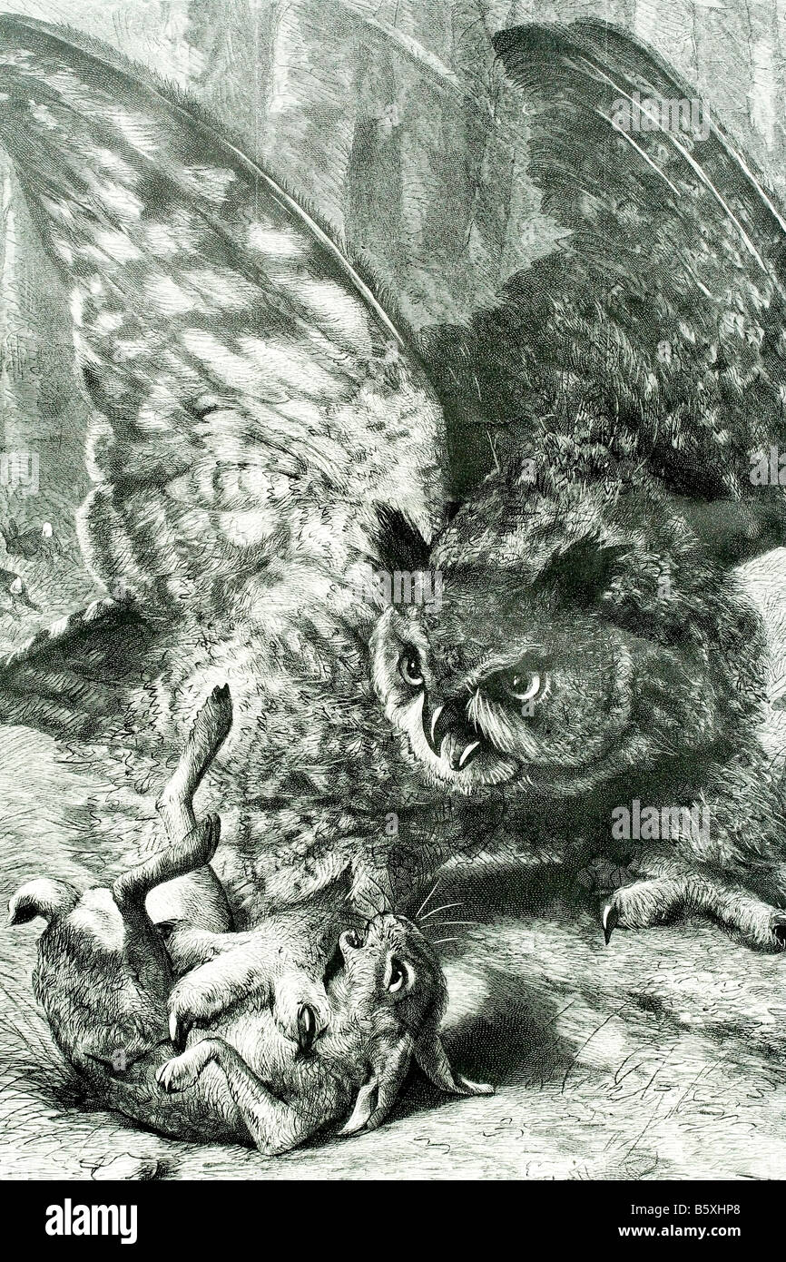 Rabbit Hunting In Winter Paintings