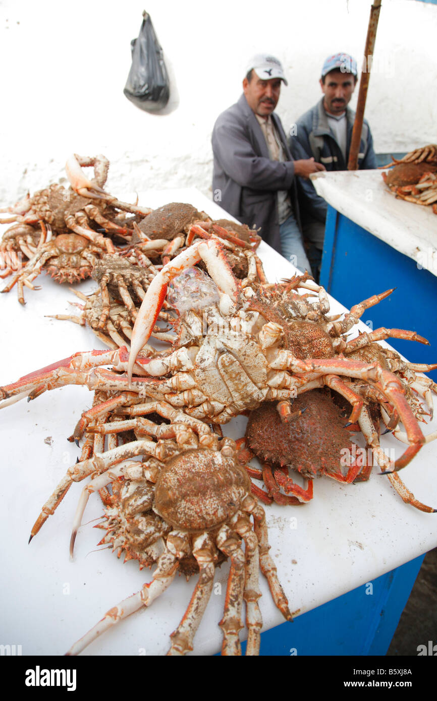 Fisherman selling seafood, Port, Essaouira, Morocco, Africa Stock Photo ...