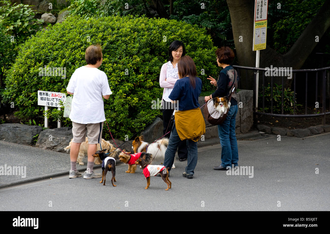 Japanese walkers hi-res stock photography and images - Alamy